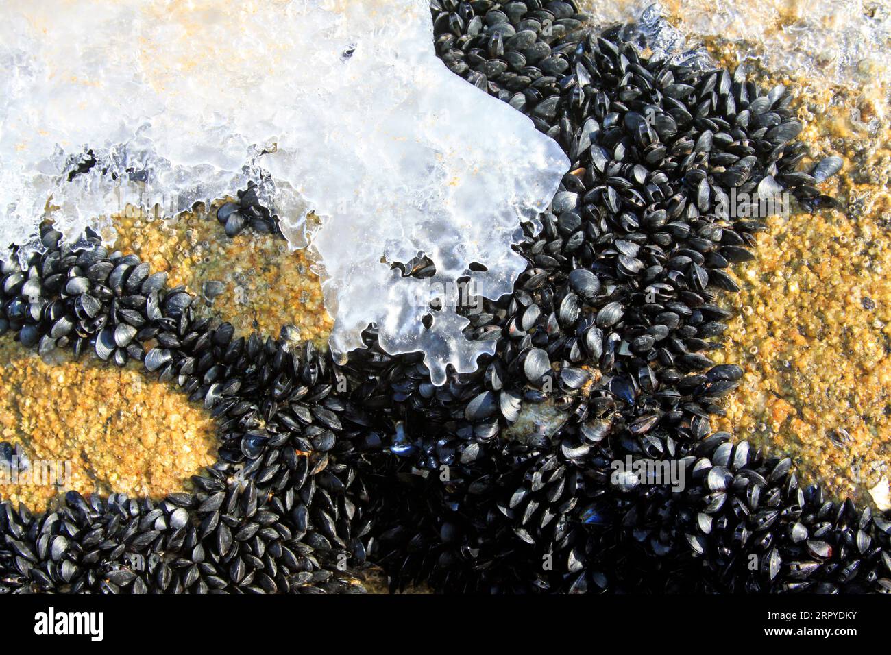 Staffed rocks hi-res stock photography and images - Alamy