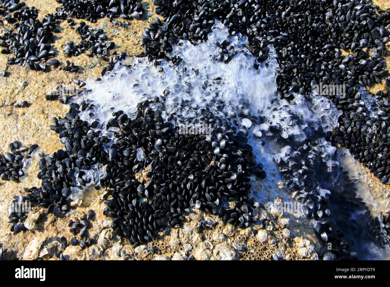 Staffed rocks hi-res stock photography and images - Alamy