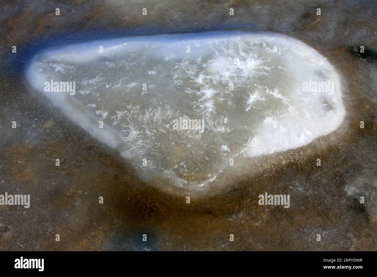 Frozen natural landscape, closeup of photo Stock Photo - Alamy