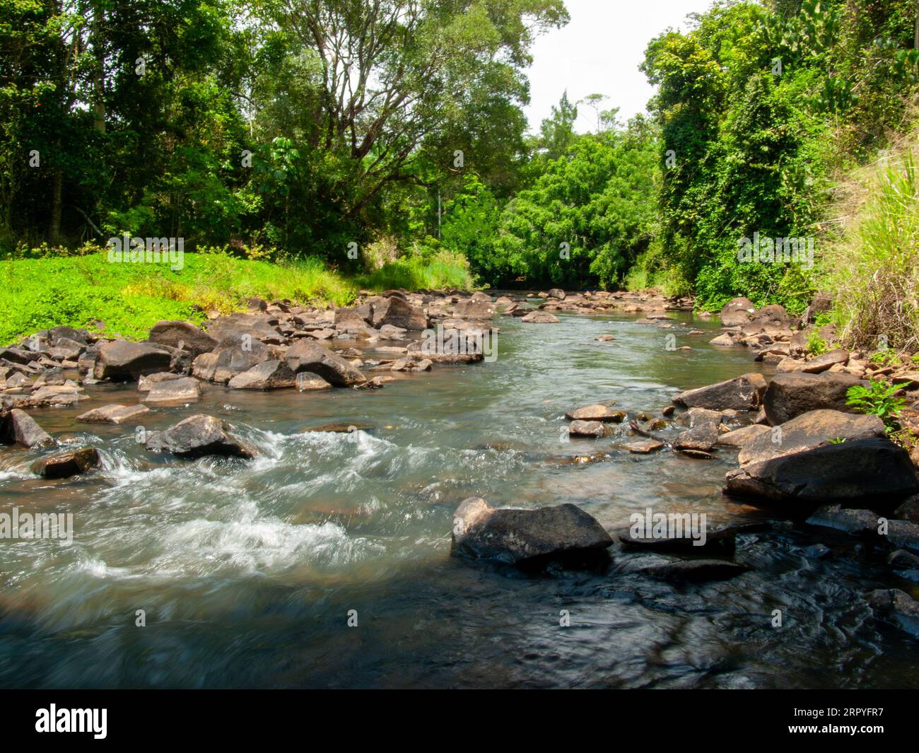 North Johnstone River, flowing over volcanic rocks, Malanda, Australia ...