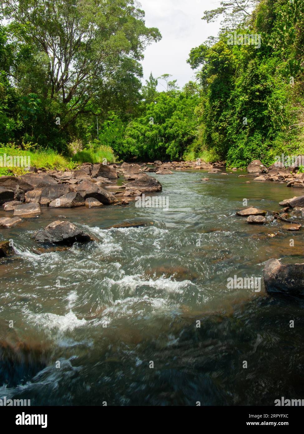 North johnstone river australia hi-res stock photography and images - Alamy