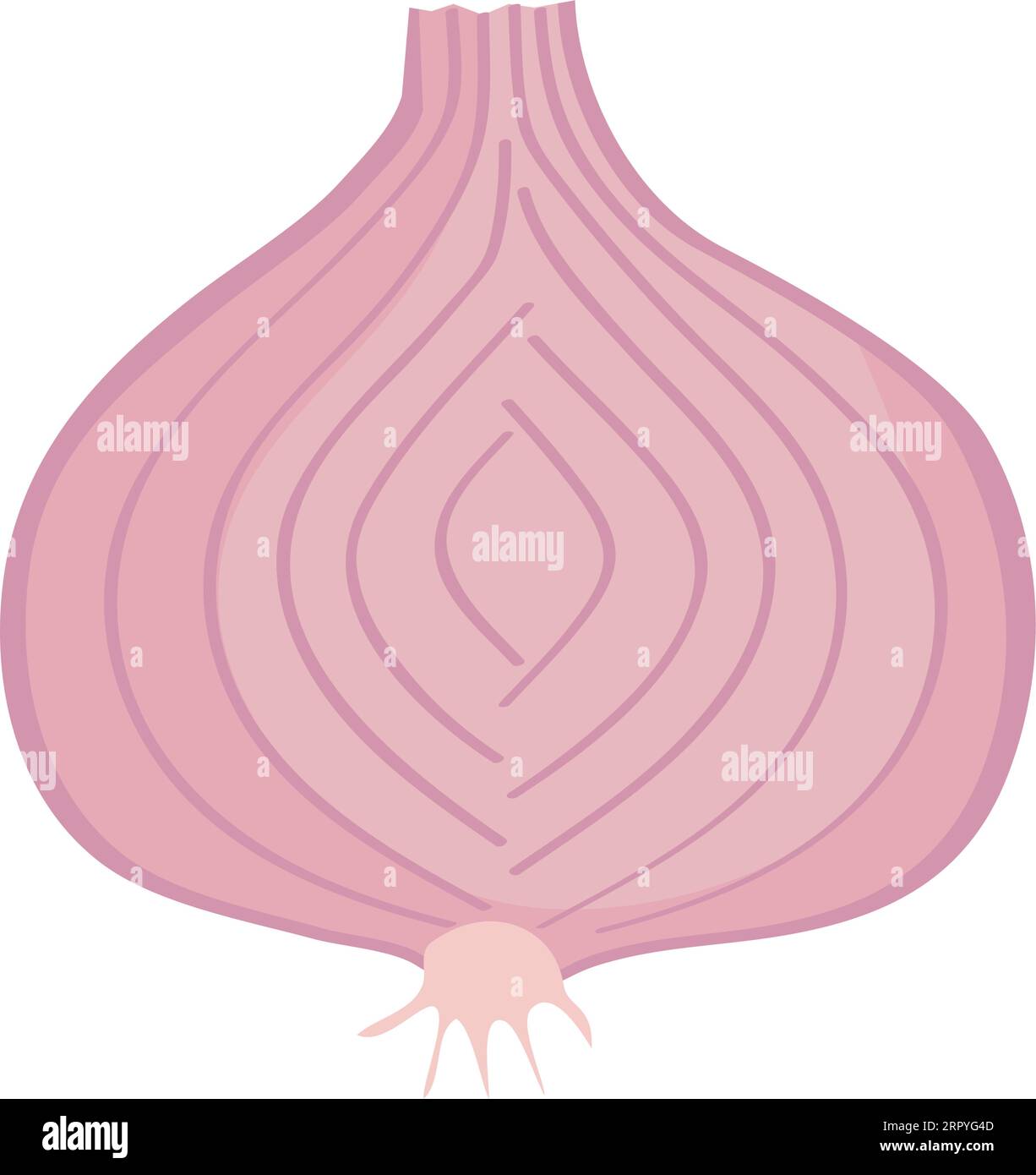 Sliced cut onion section Stock Vector Images - Alamy