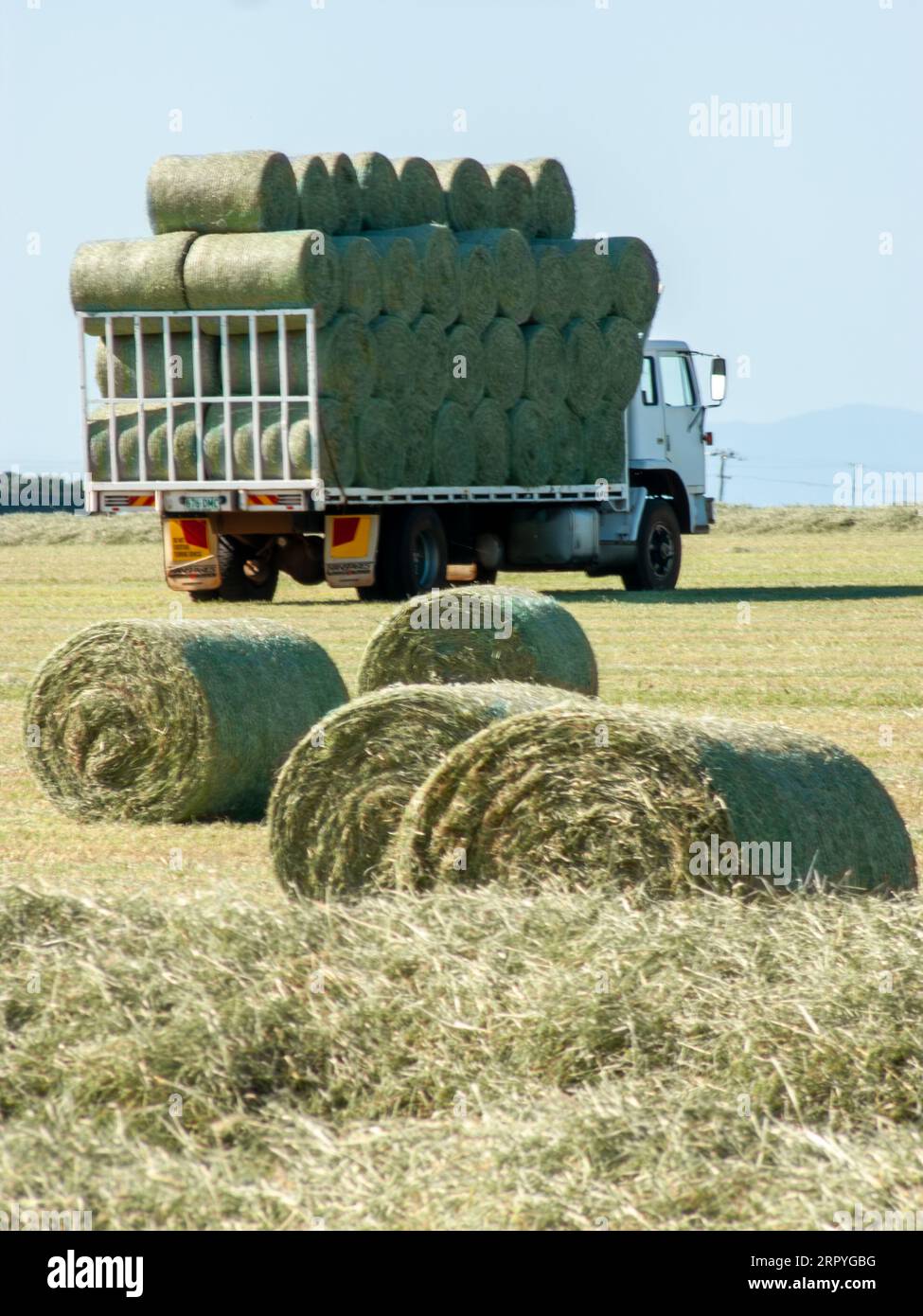 Harvesting Hay, Round Hay Bales, Kairi, Australia Stock Photo - Alamy