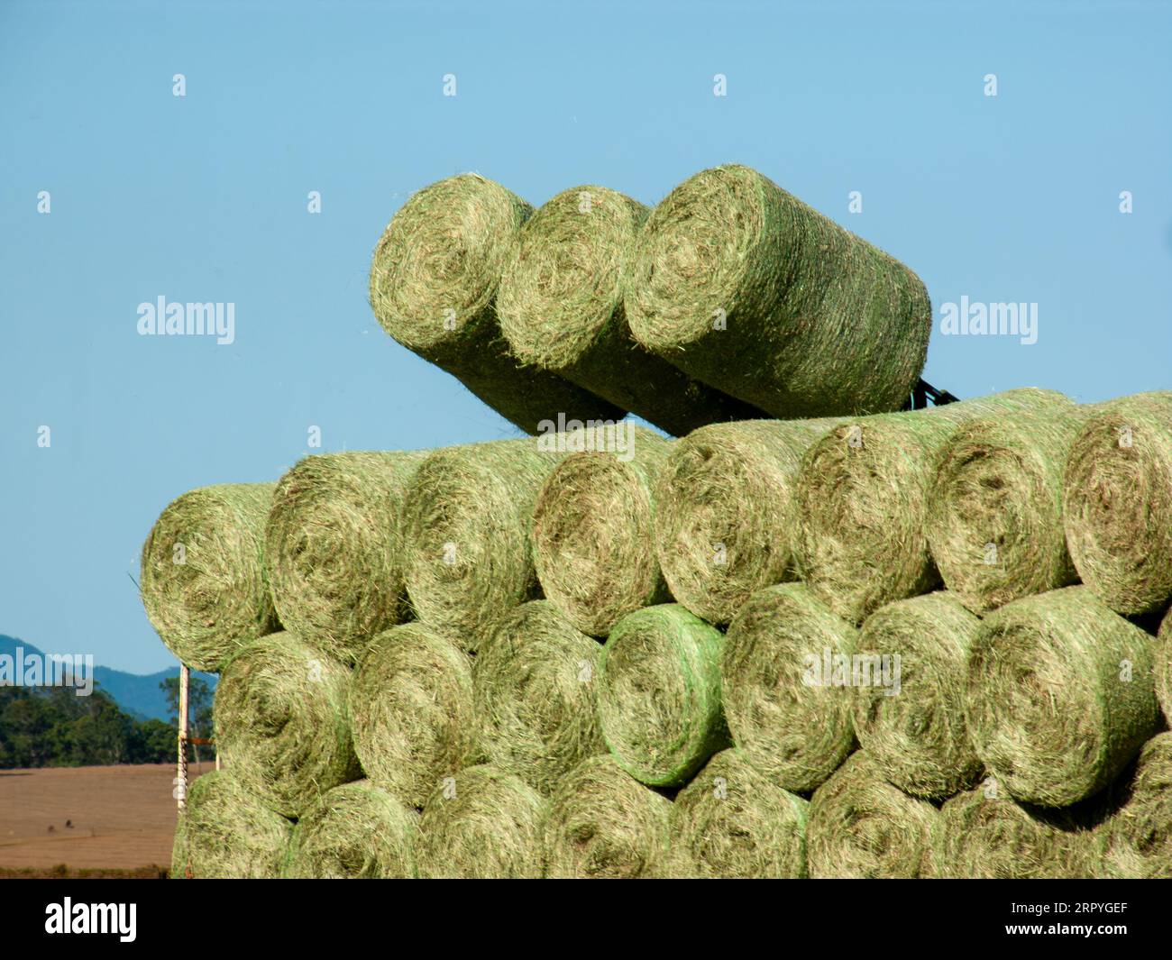 Loading hay onto truck hi-res stock photography and images - Alamy