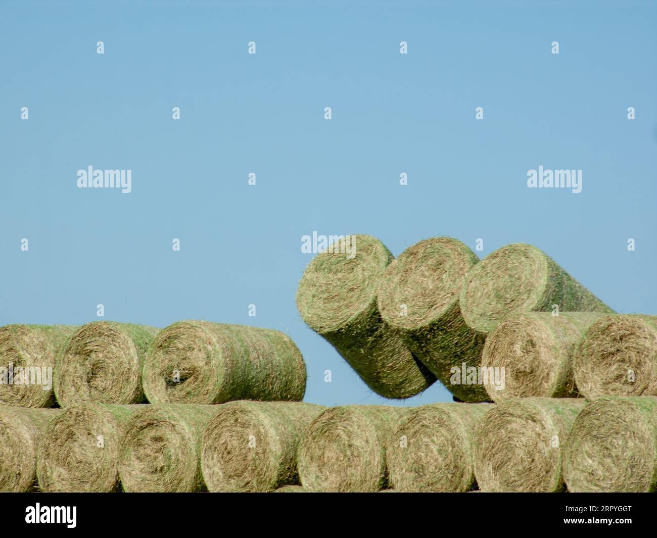 Loading Circular Hay Bales onto Truck, Kiri, Australia Stock Photo - Alamy