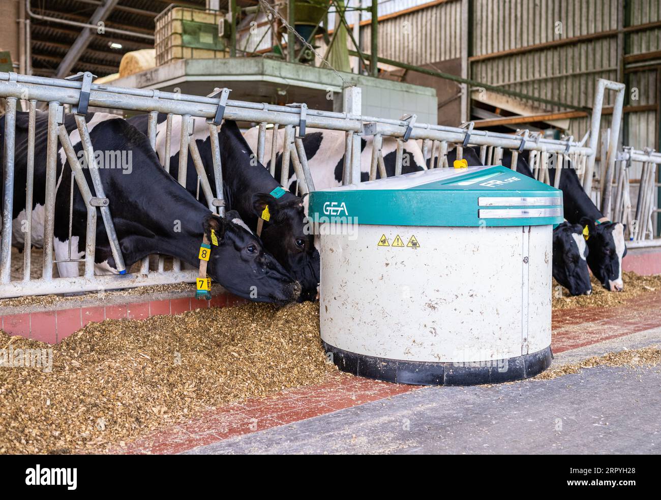 Ahaus, Germany. 16th Aug, 2023. A feed pusher from GEA automatically ...
