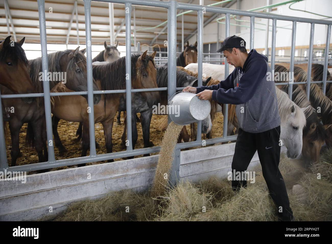 Chinese milk factory hi-res stock photography and images - Alamy