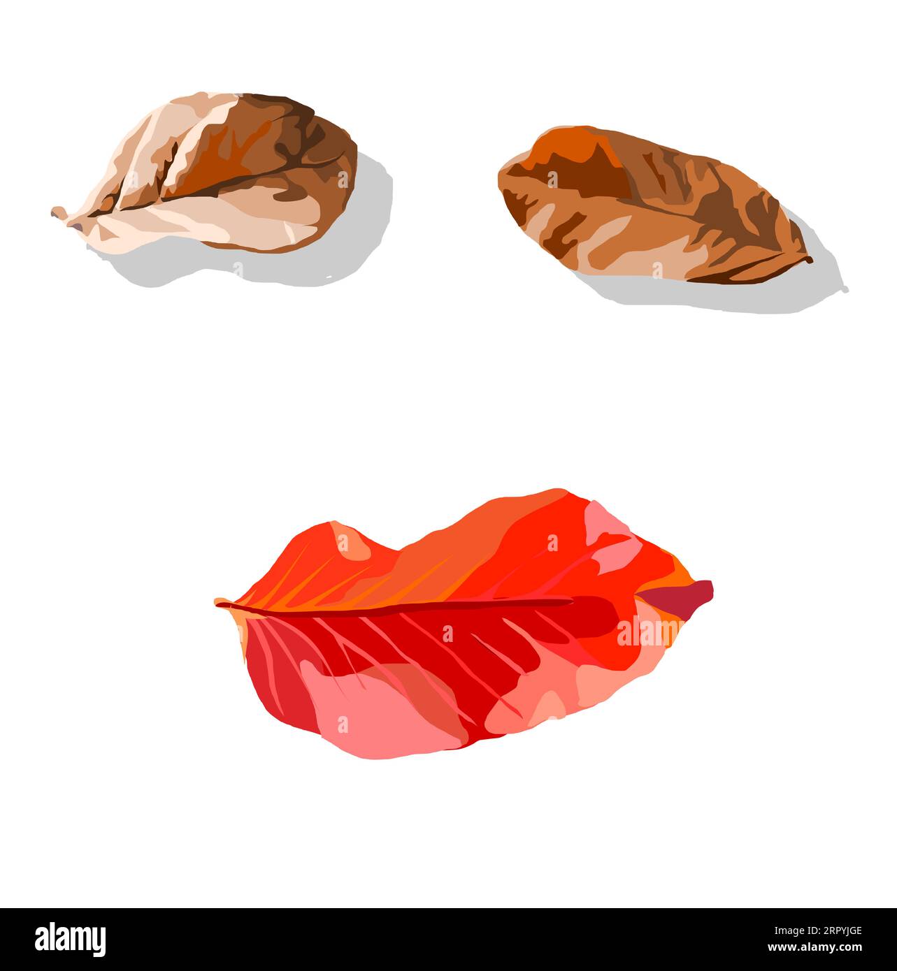 Happy face from leaves is smiling in autumn , Vector graphics of ...
