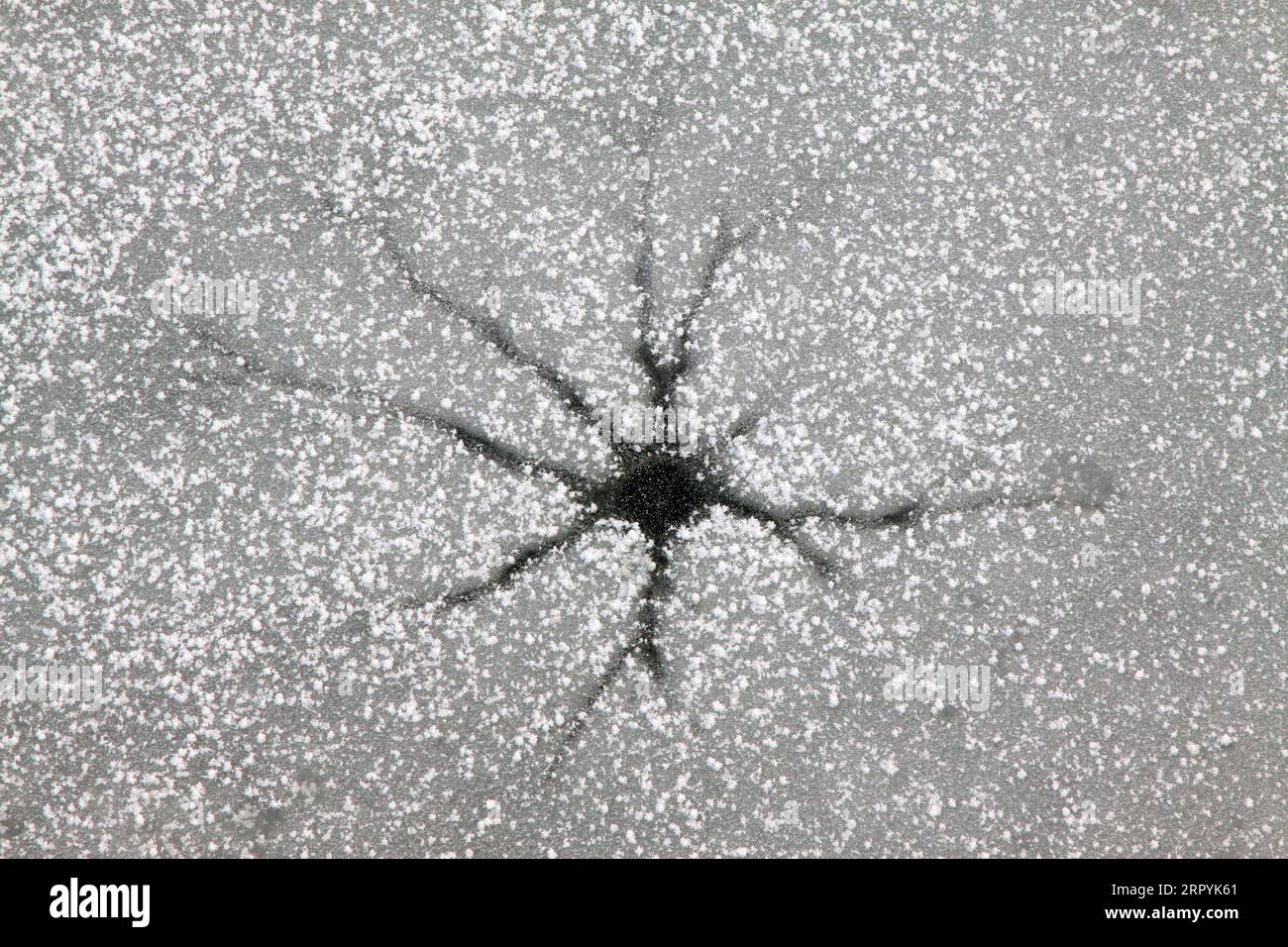 Halcyon winter hi-res stock photography and images - Alamy