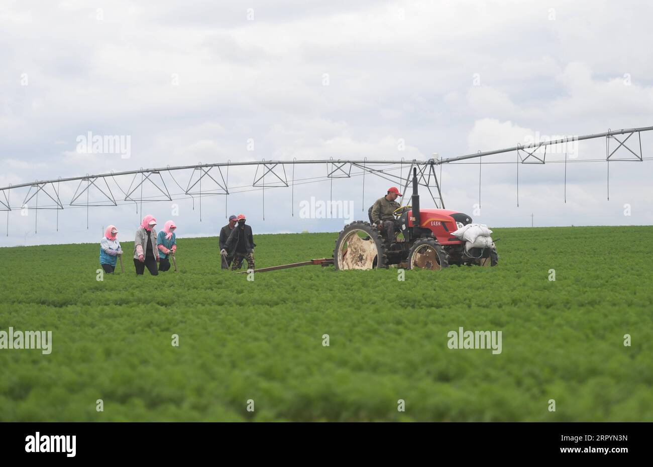 Reclamation system hi-res stock photography and images - Alamy