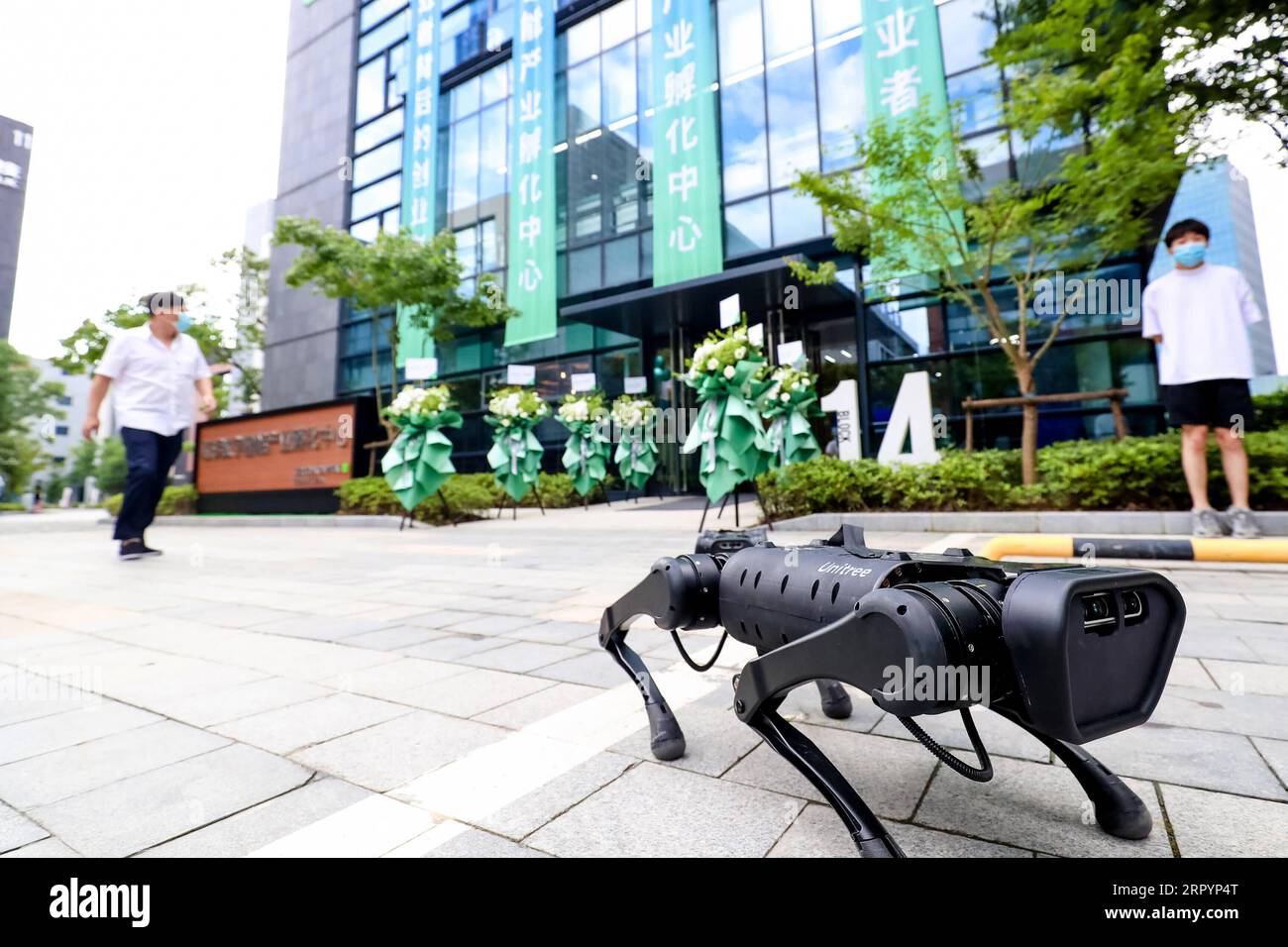 Unitree hi-res stock photography and images - Alamy