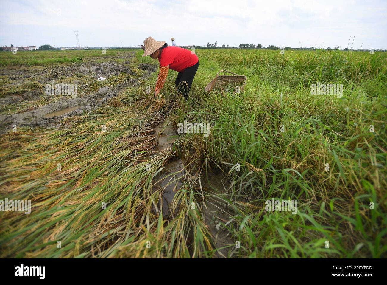 Convective rainfall hi-res stock photography and images - Alamy