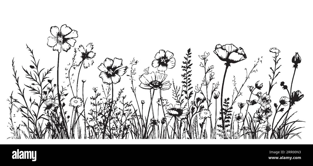 Wildflowers border sketch hand drawn sketch Vector Stock Vector Image ...
