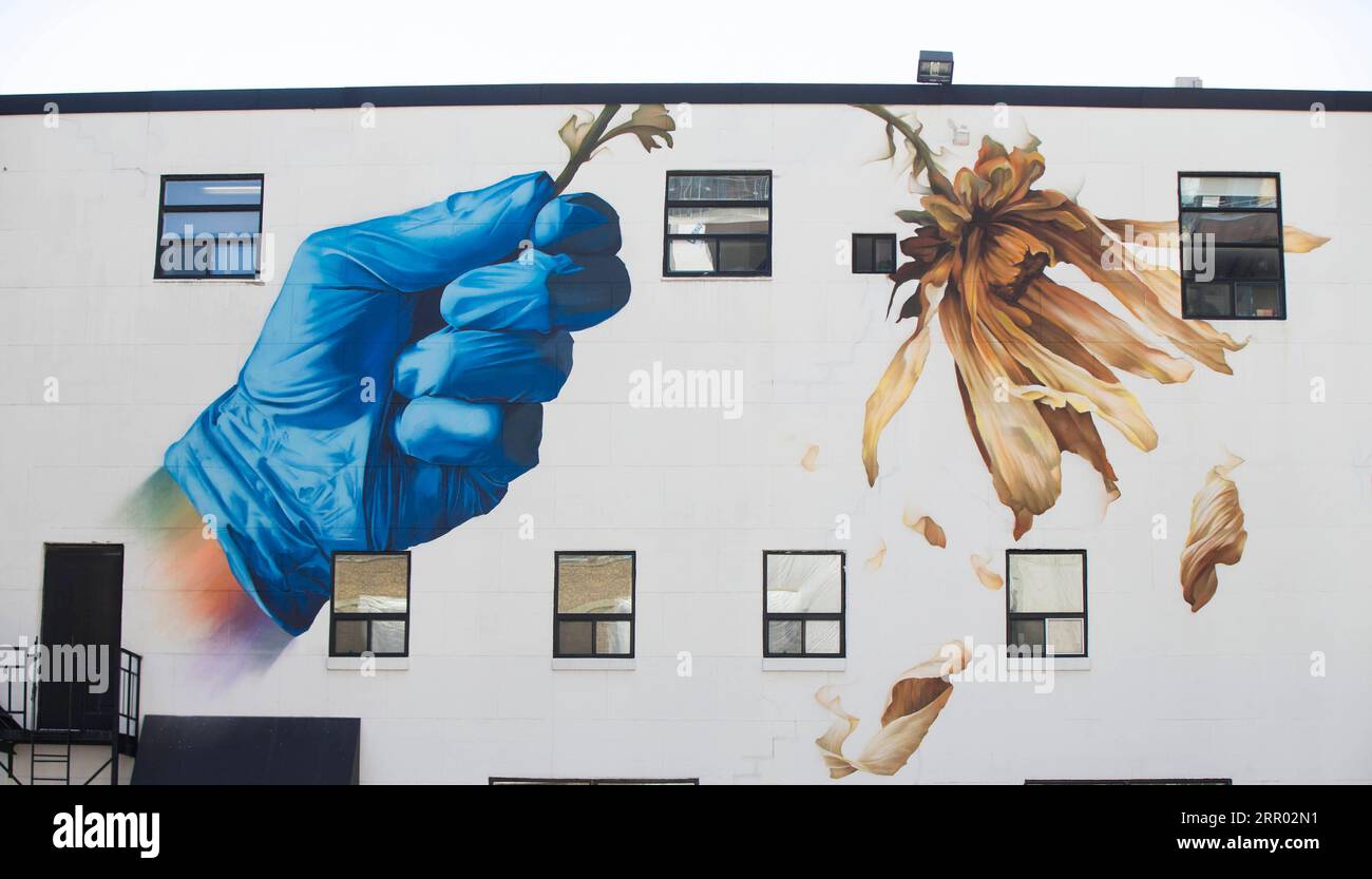 Murals health workers hi-res stock photography and images - Alamy