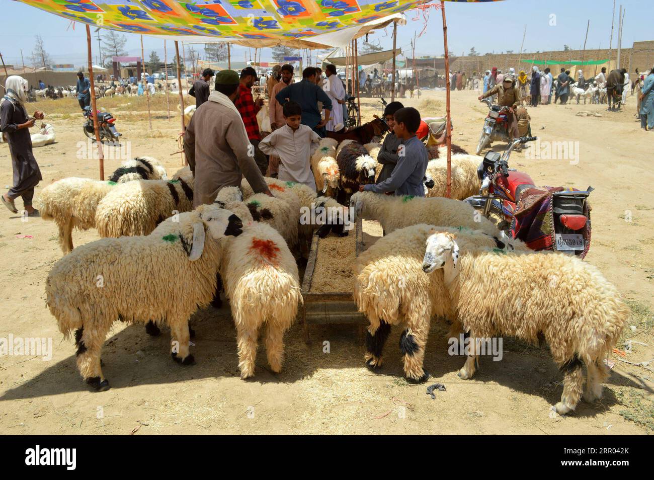 Pakistan queta eid hi-res stock photography and images - Alamy