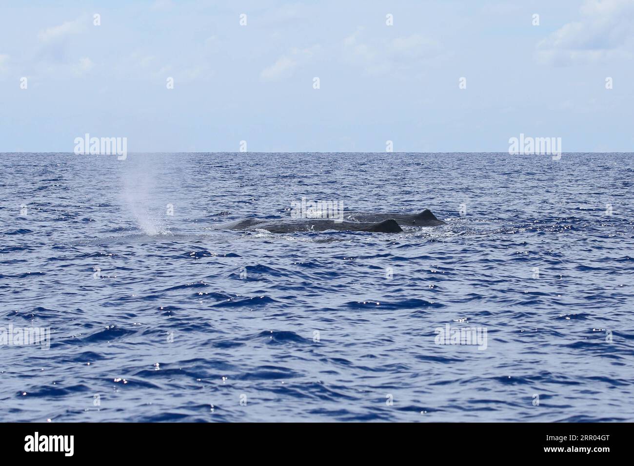 200728 -- SANYA, July 28, 2020 -- Photo taken on July 24, 2020 shows ...