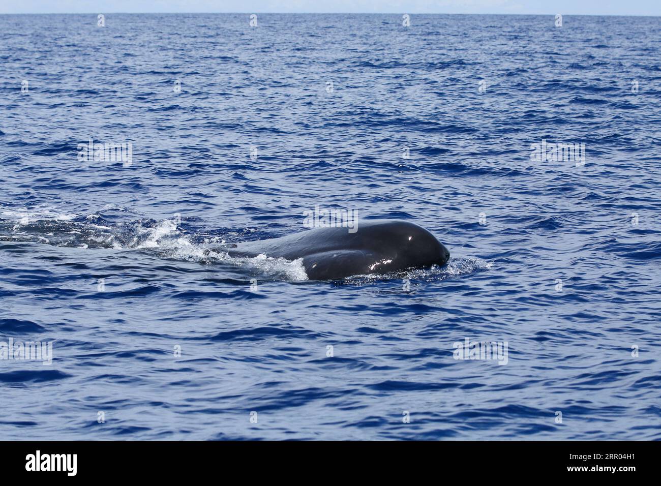 200728 -- SANYA, July 28, 2020 -- Photo taken on July 24, 2020 shows a ...
