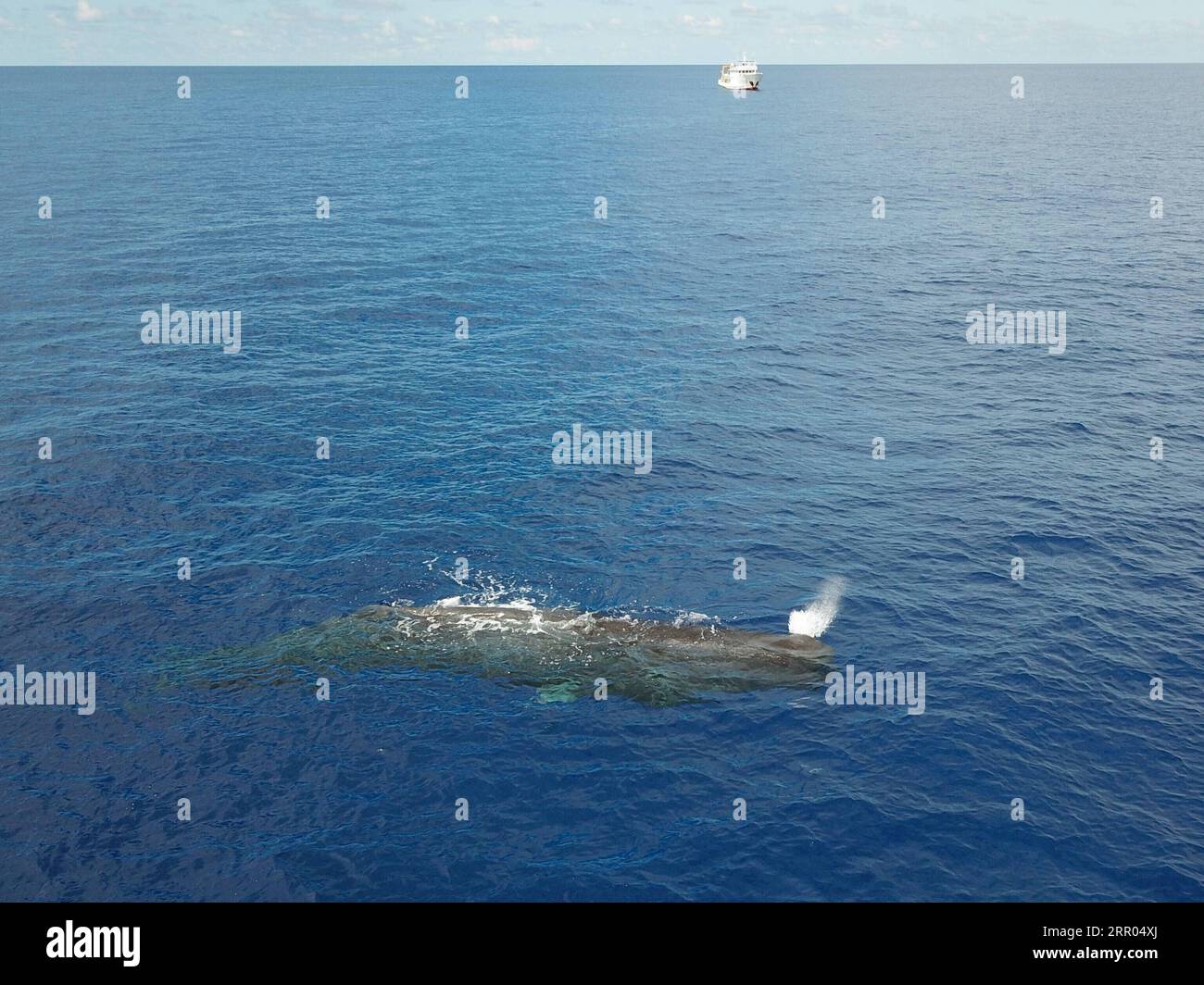 200729 -- BEIJING, July 29, 2020 -- Aerial photo taken on July 24, 2020 ...