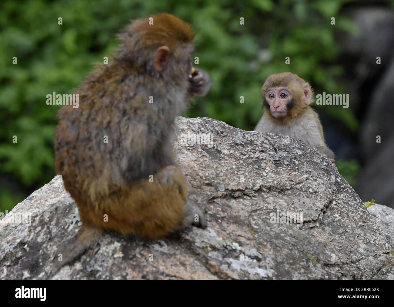 Lixjian hi-res stock photography and images - Alamy