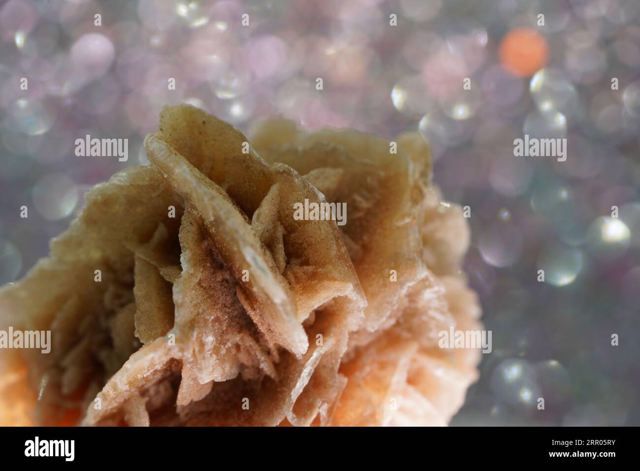 Gypsum rose with a crystal on a cut out background, Crystals resembling ...