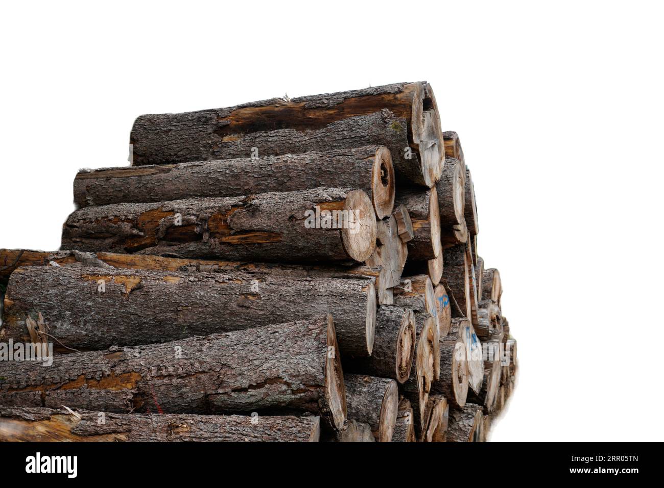 white background with free things to edit or as a background Stock ...