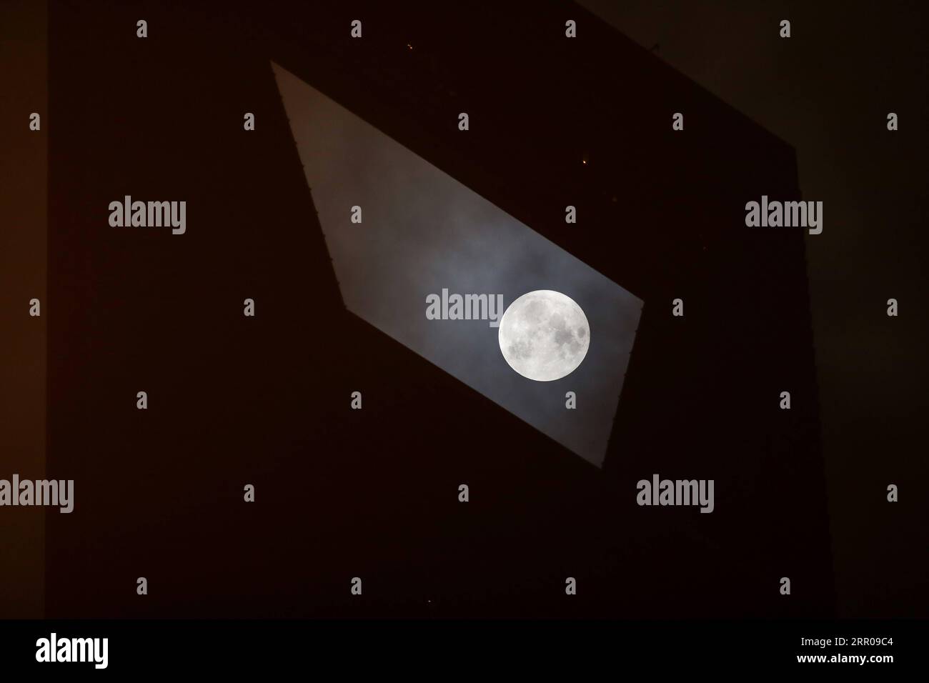 200804 -- SHANGHAI, Aug. 4, 2020 -- Photo taken on Aug. 3, 2020 shows ...