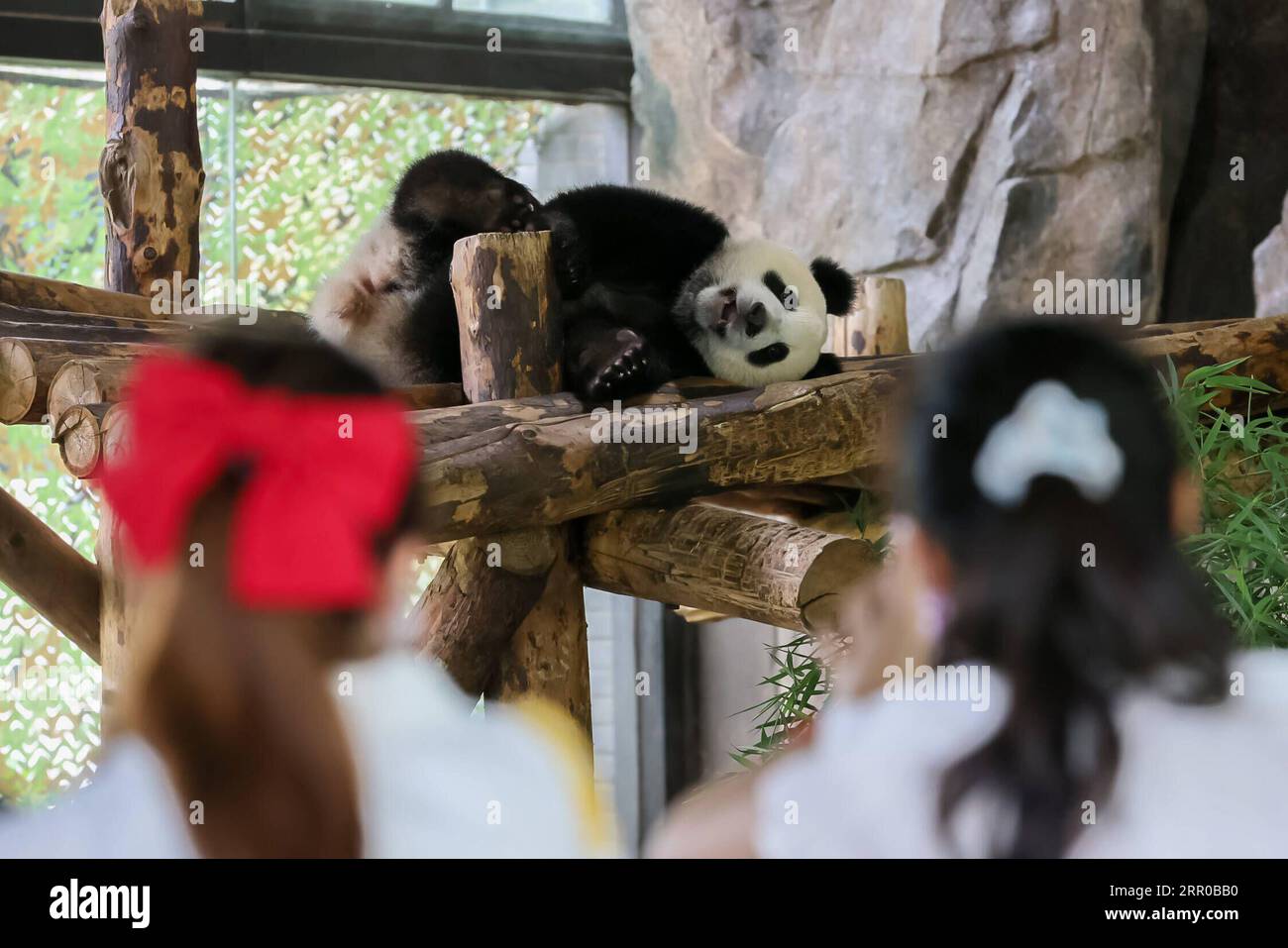 200807 -- SHANGHAI, Aug. 7, 2020 -- Visitors look at Jiajiazai , baby ...