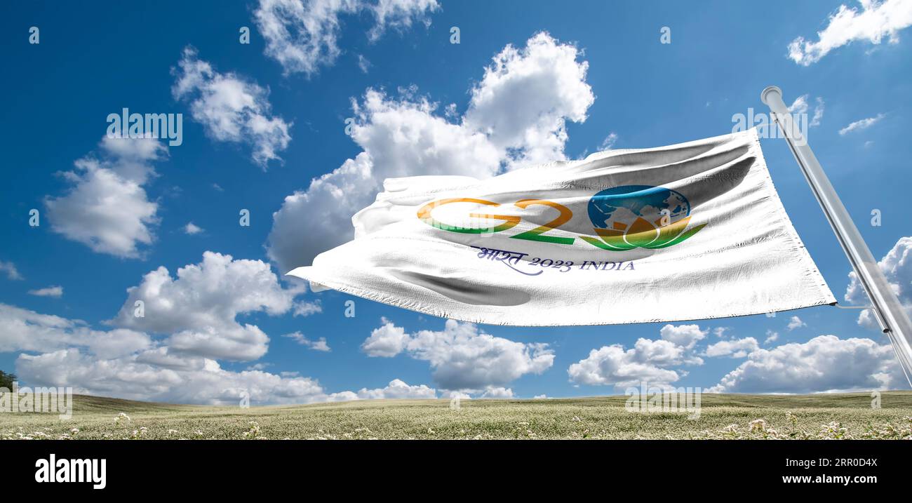 flag g20 india Official India's G20 Logo, G20 summit India, G20 2023 ...