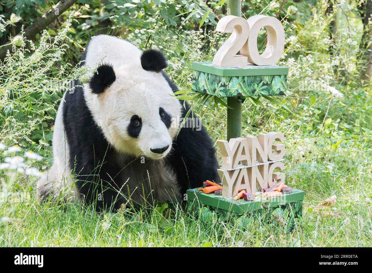 Zoo handout hi-res stock photography and images - Alamy