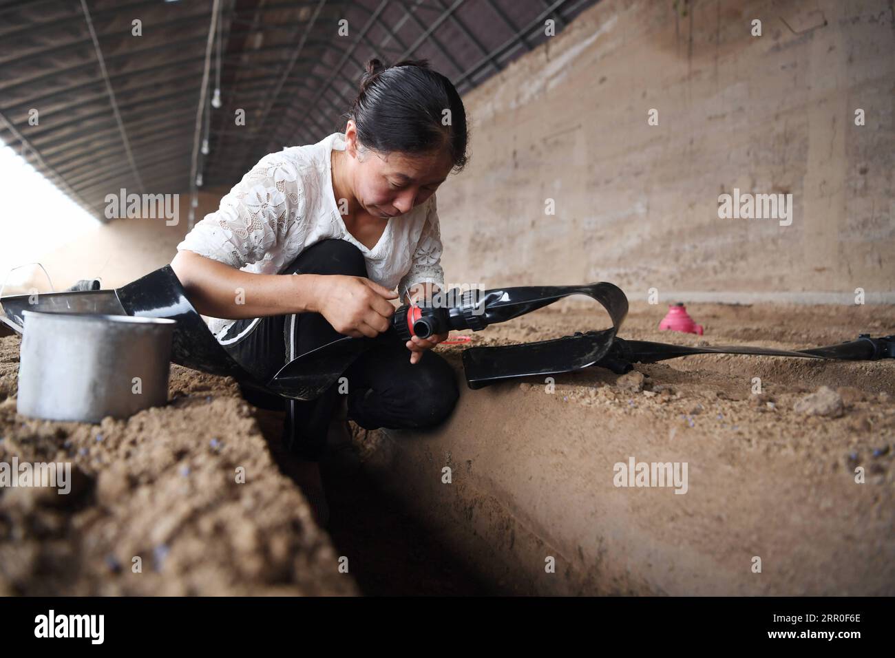 200812 -- LINXIA, Aug. 12, 2020 -- Villager Zhu Huailan works at a ...