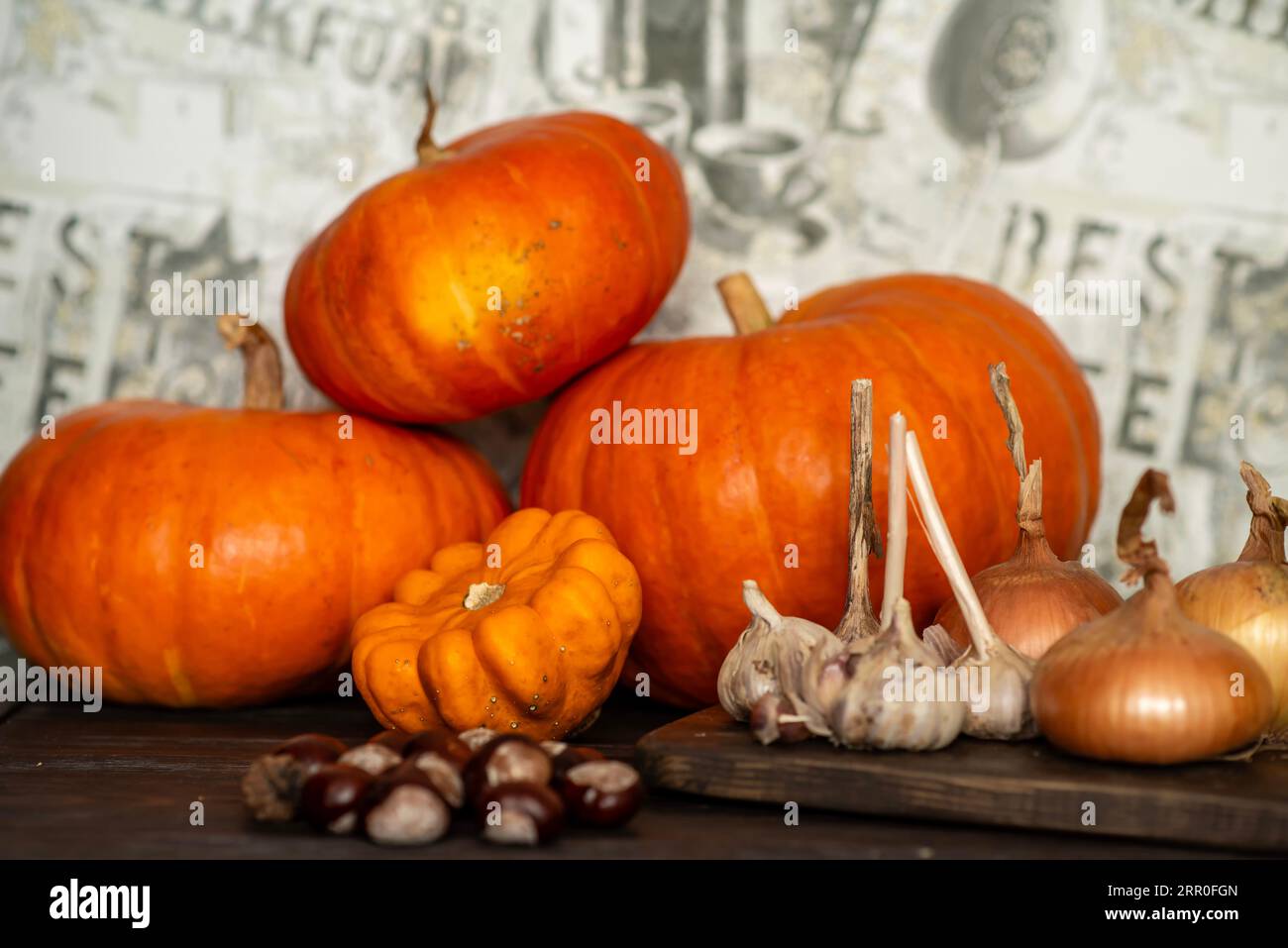 Botanical characteristics hi-res stock photography and images - Alamy