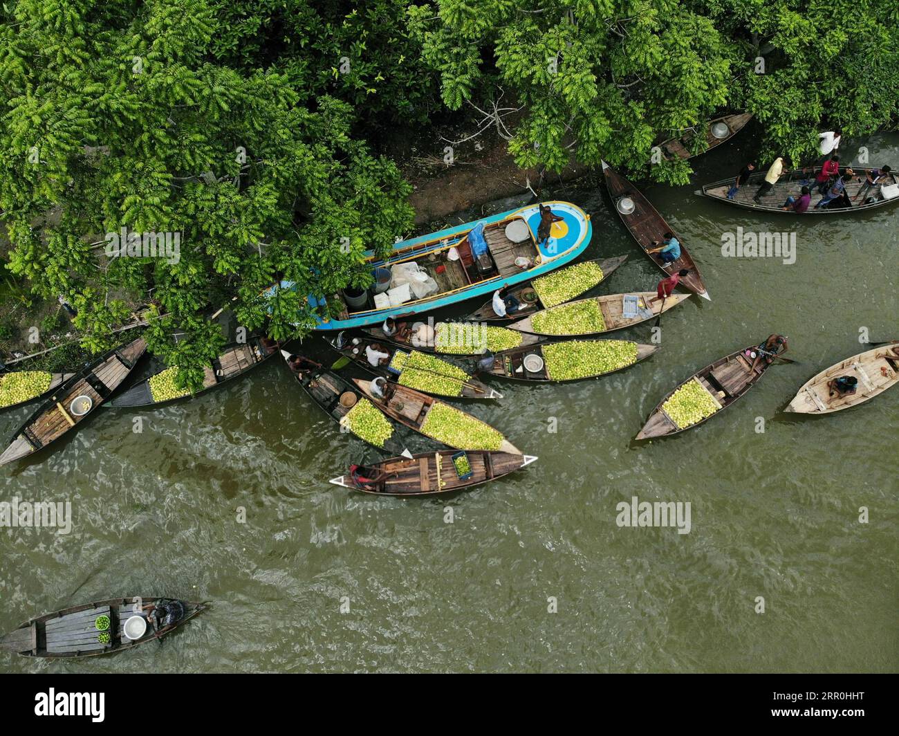 Bangladesh floating guava market hi-res stock photography and images ...