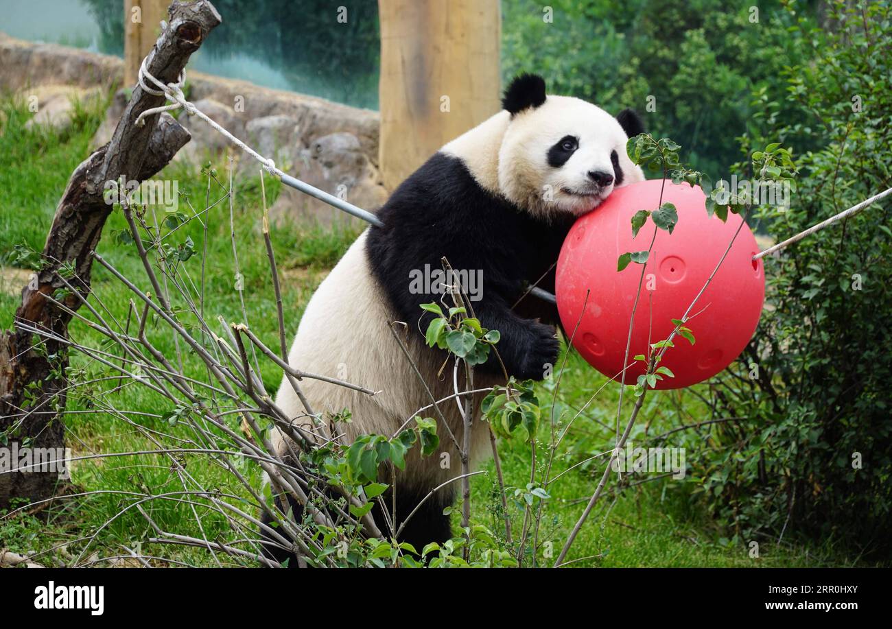 Gengxhuihuang hi-res stock photography and images - Alamy