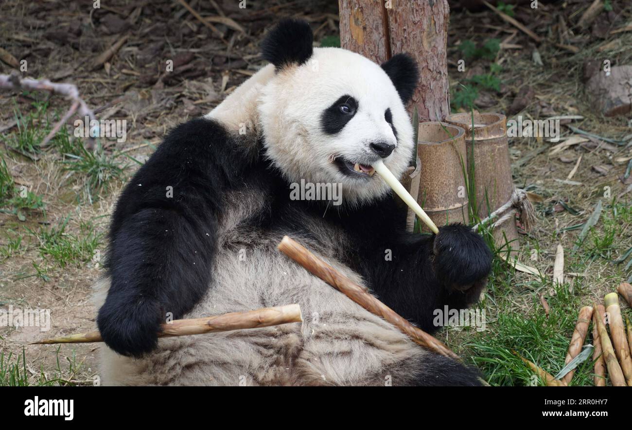 Gengxhuihuang hi-res stock photography and images - Alamy