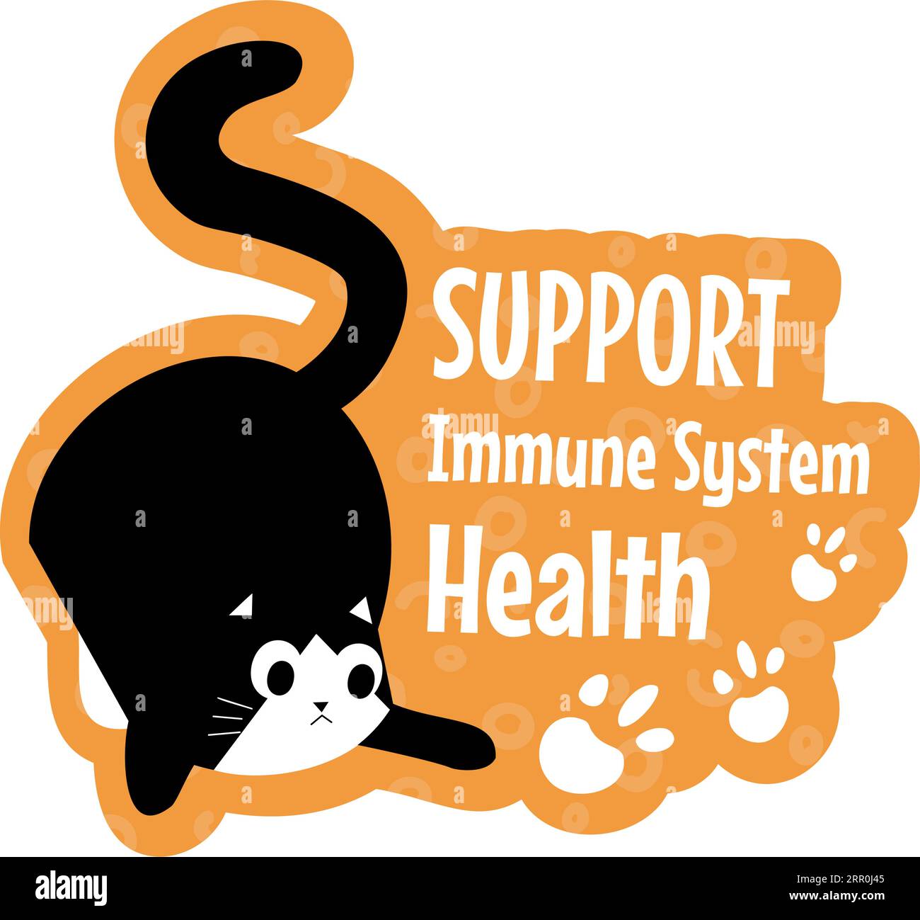 Support immune system health of your cat vector Stock Vector Image ...