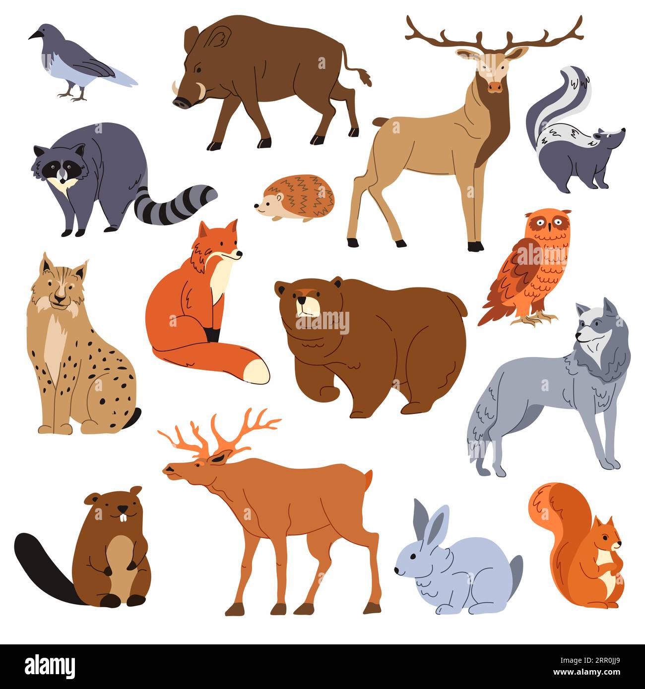 Forest animals, raccoon and fox, bear and deer Stock Vector Image & Art ...