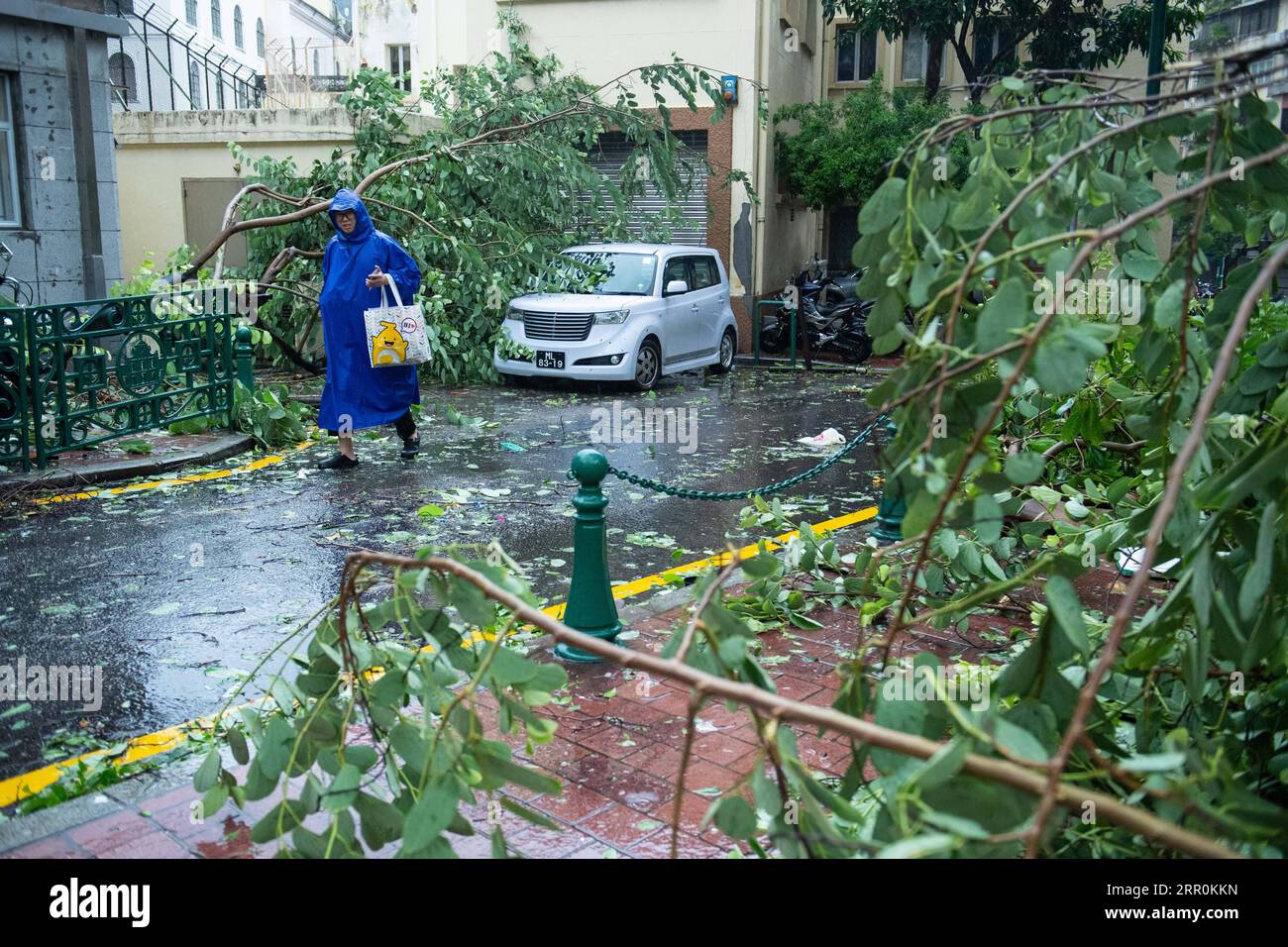 China macao typhon higos hi-res stock photography and images - Alamy