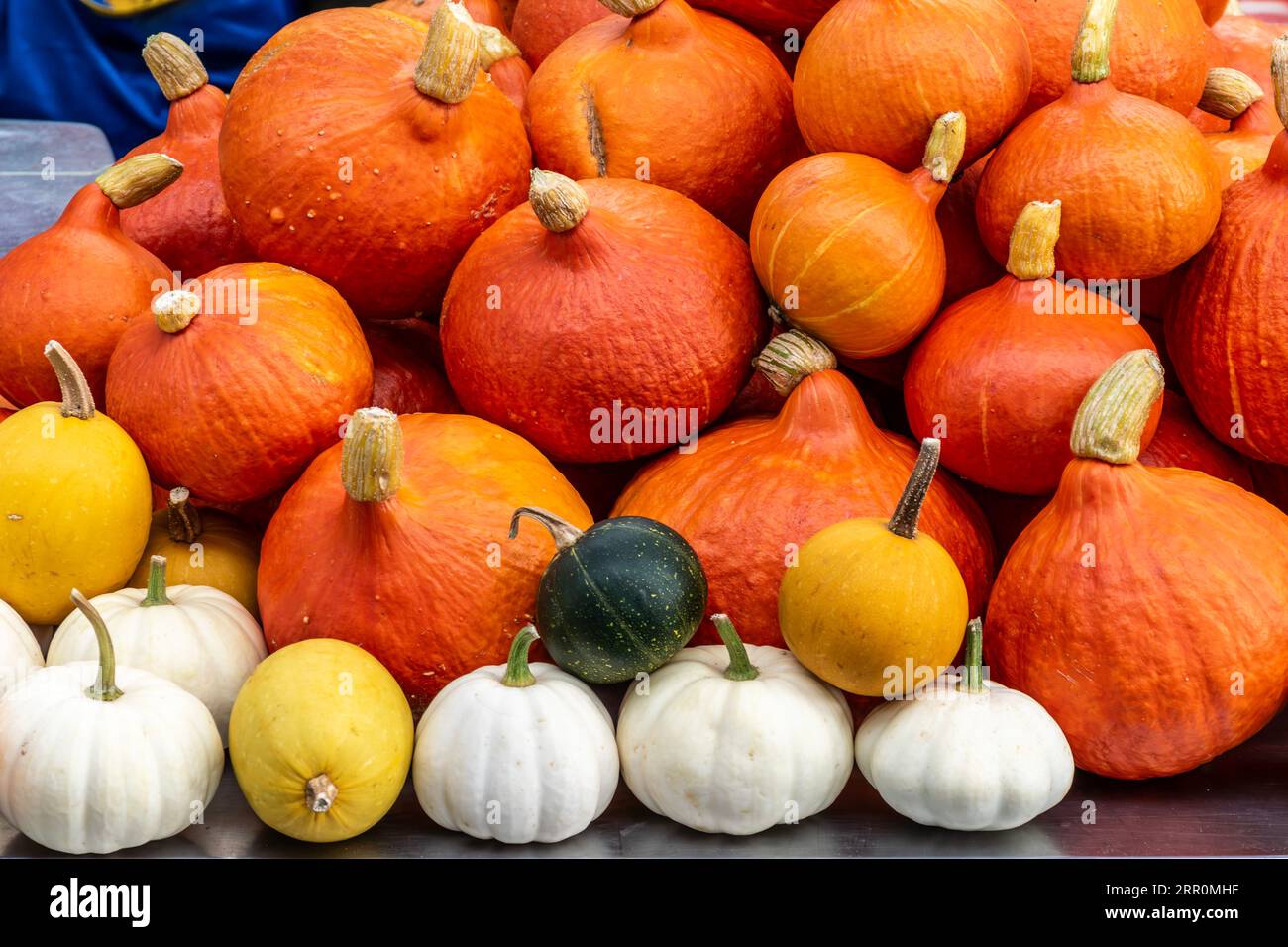 Red orange ribbed hi-res stock photography and images - Alamy