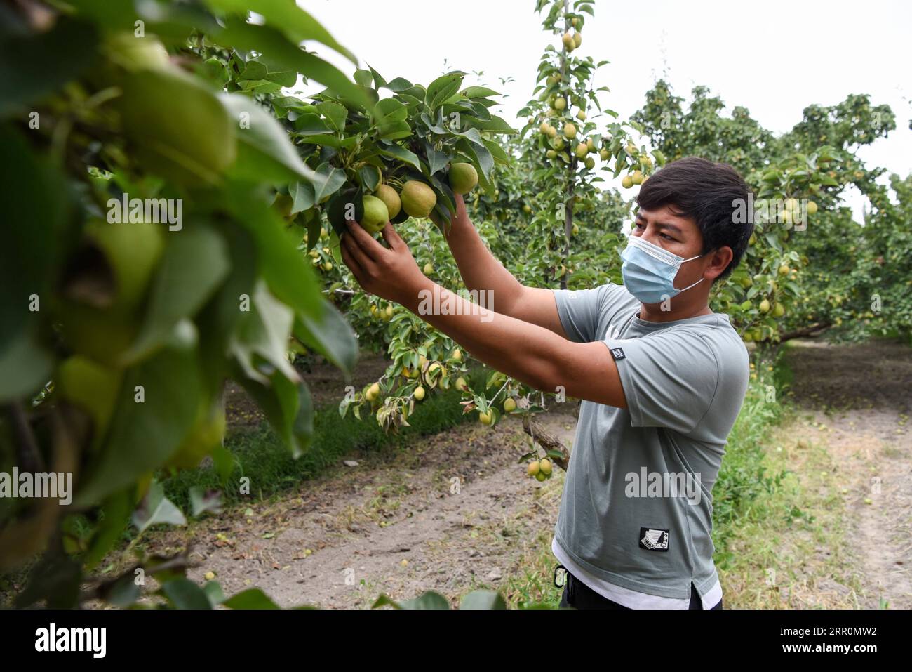 455 tonnes hi-res stock photography and images - Alamy