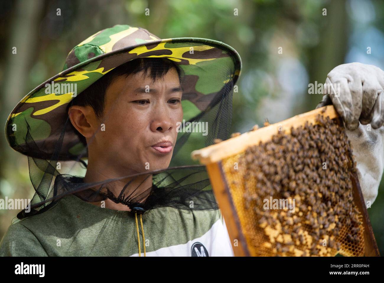 Painter poverty alleviation hi-res stock photography and images - Alamy