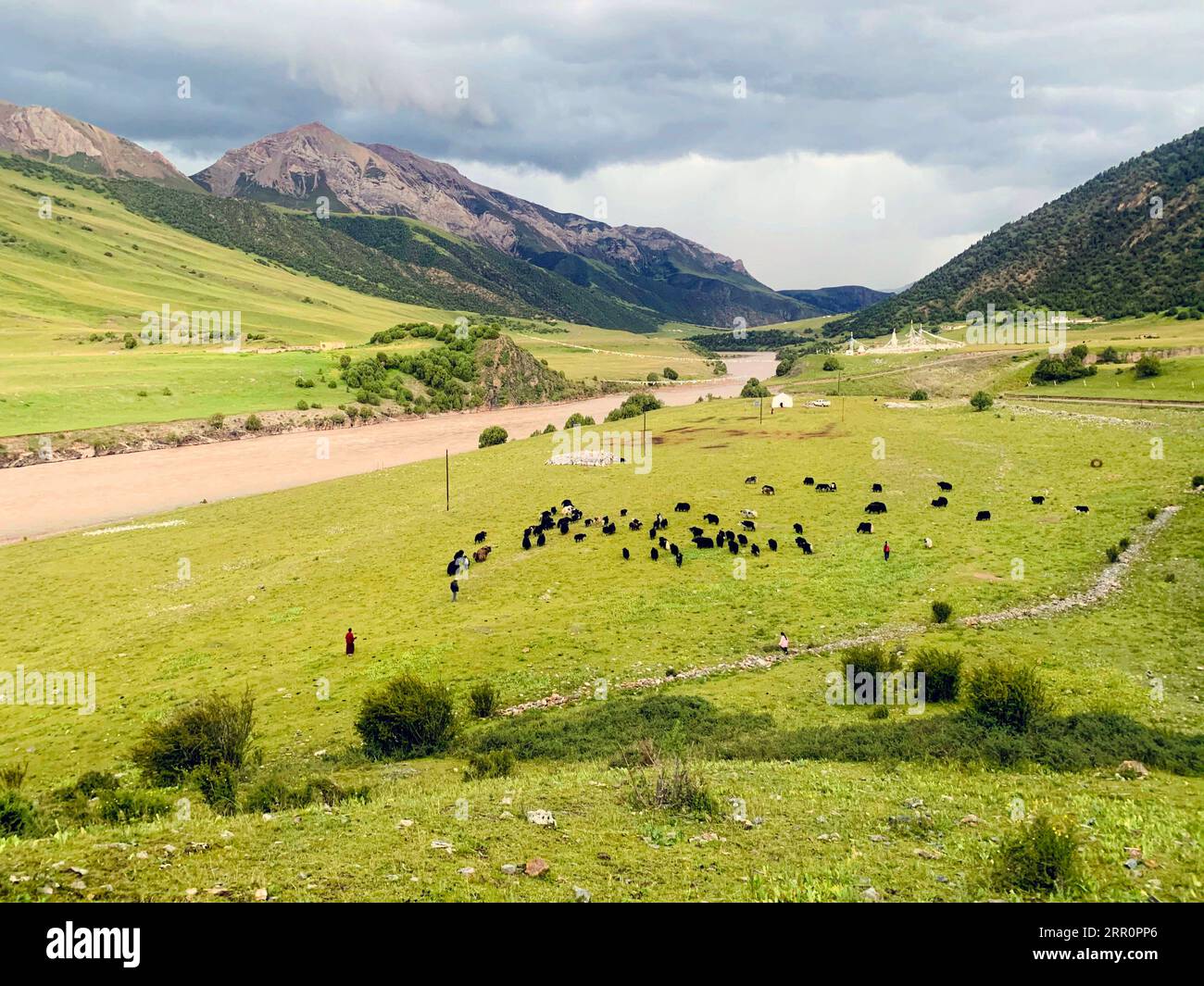 China qinghai yushu angsai hi-res stock photography and images - Alamy