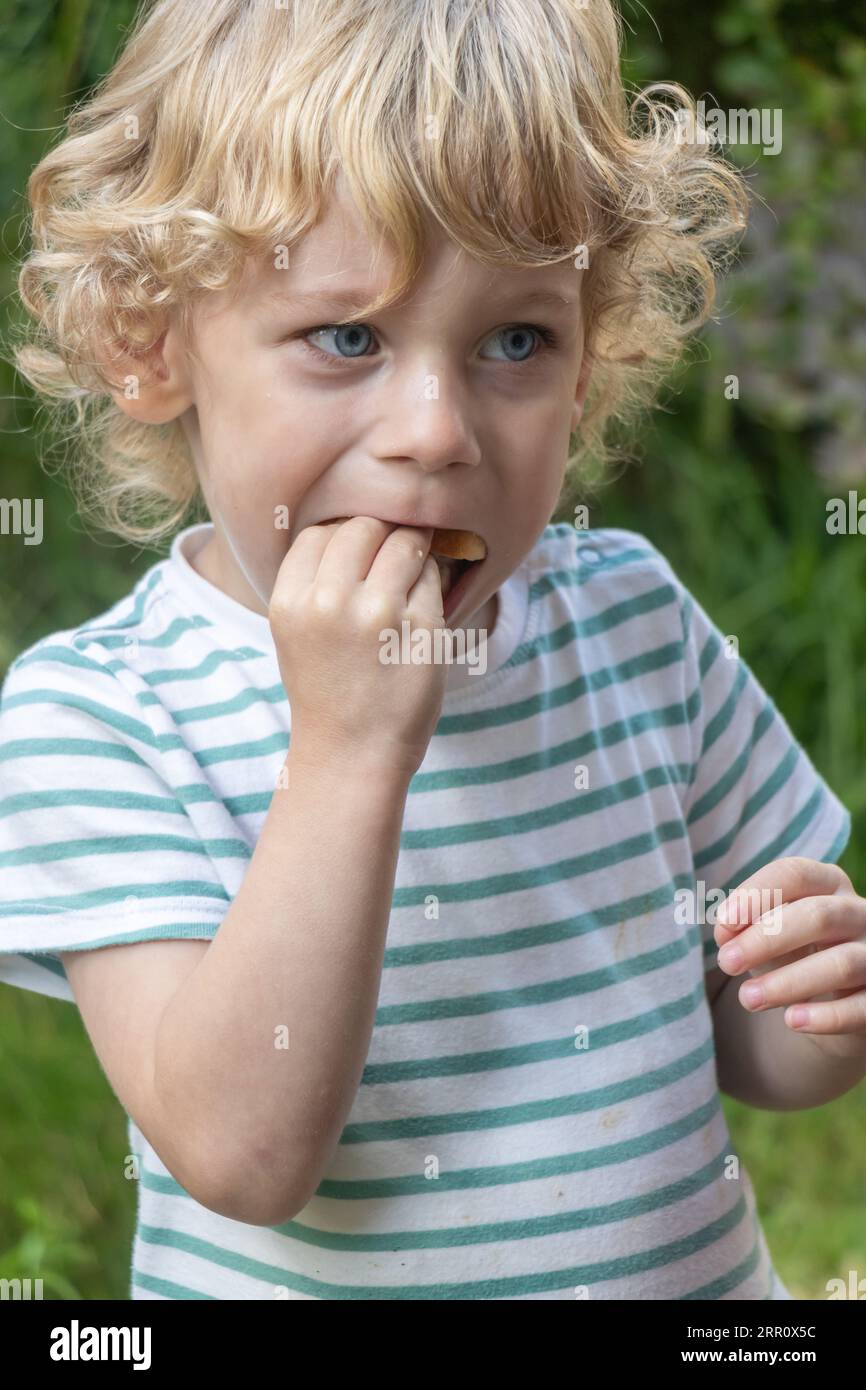A little boy bites into a pastry Stock Photo - Alamy