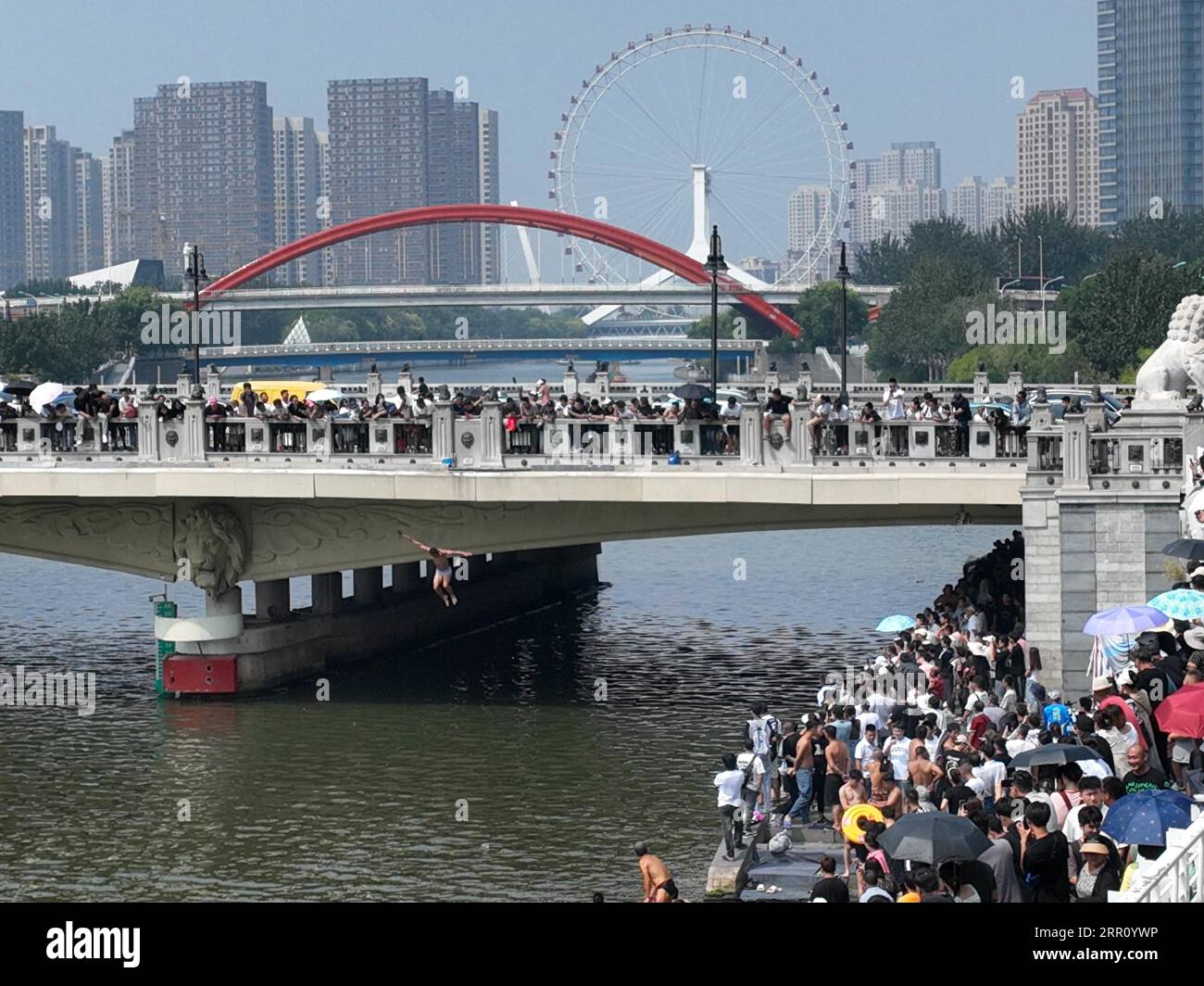 Aerial photo shows visitors watching people diving into the Haihe River ...
