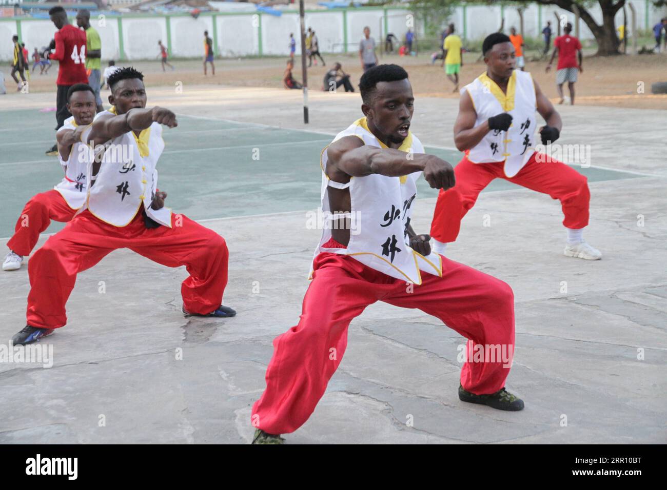 Shaolin Dragon Dragon City
