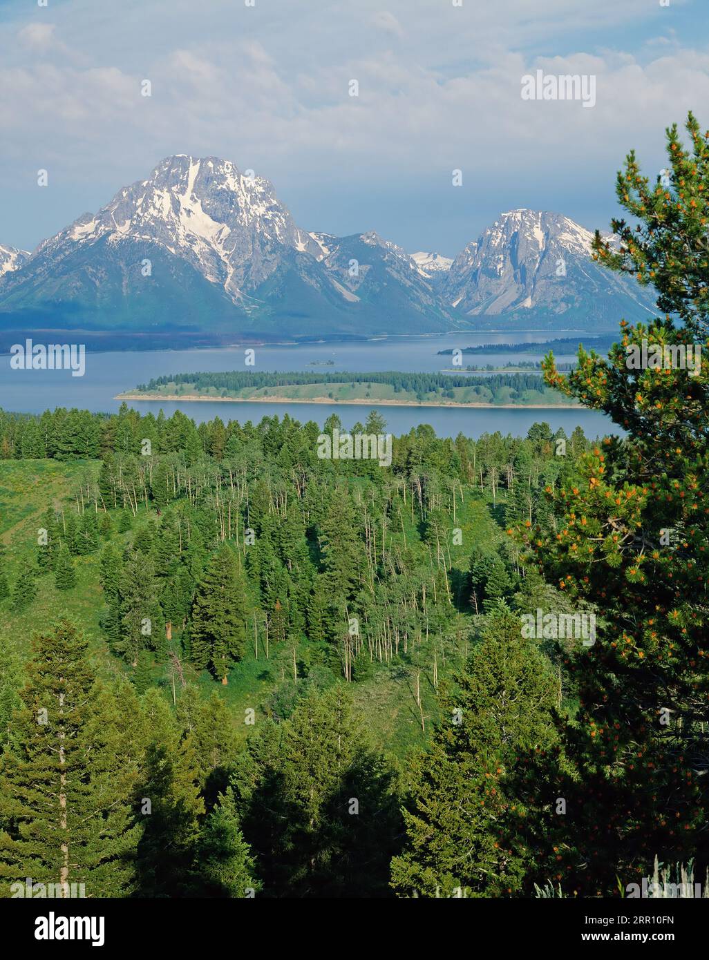 Mt. Moran and Jackson Lake from Signal Hill, Grand Teton National Park ...