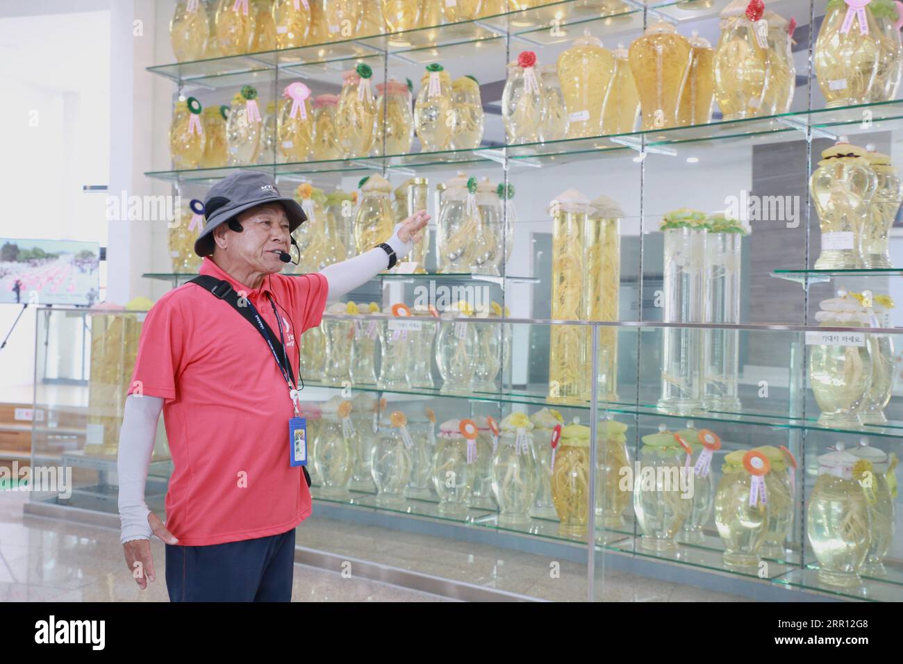 Geumsan, South Korea. 5th Sep, 2023. A museum guide introduces ginseng ...