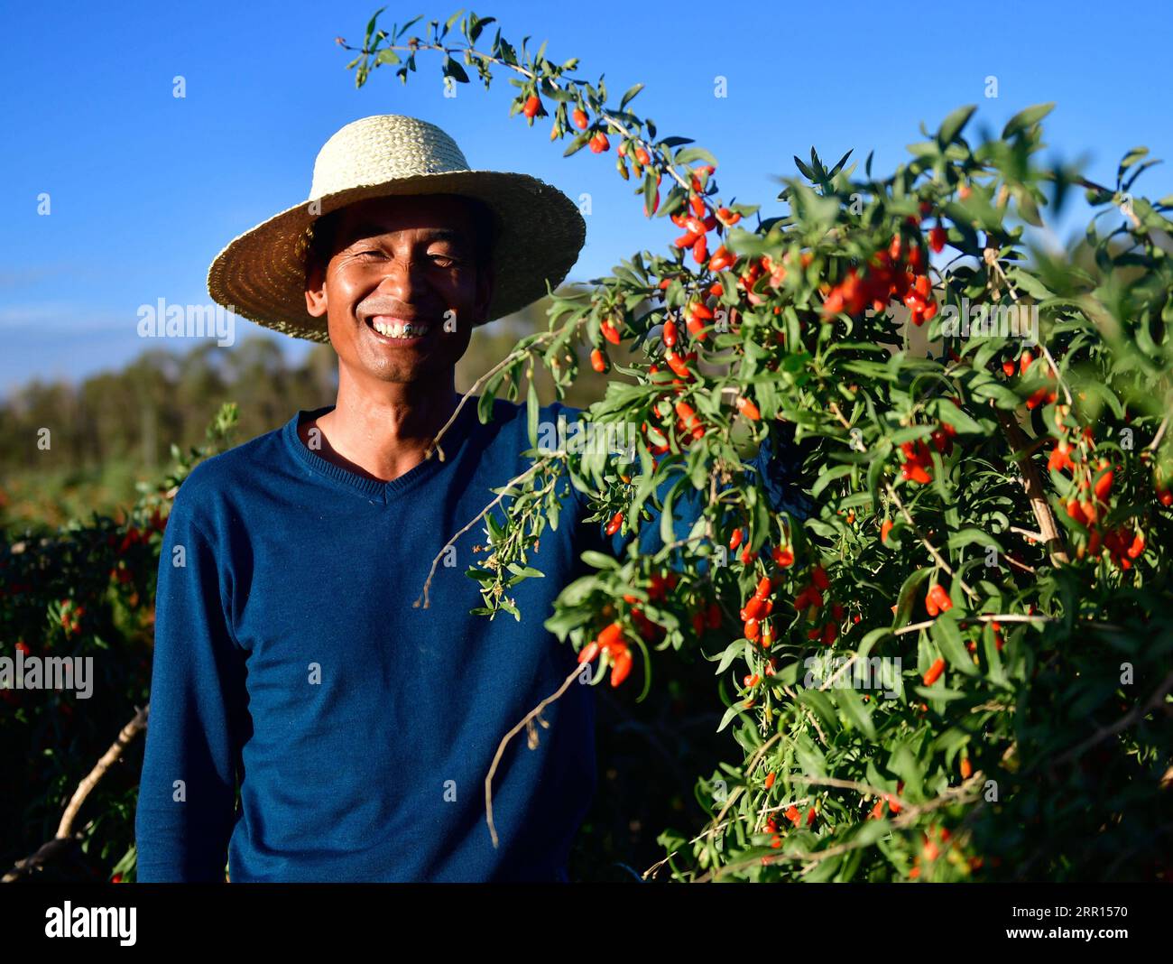 Qinghai and delingha hi-res stock photography and images - Alamy