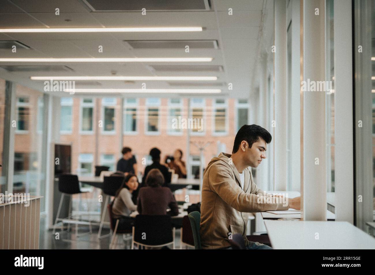 Side view of young student studying at table in university Stock Photo ...