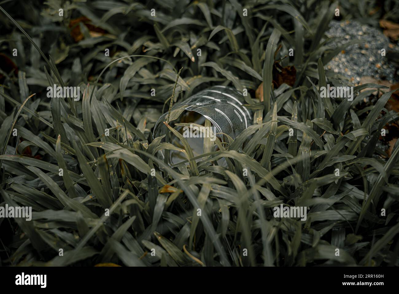 Plastic litter field hi-res stock photography and images - Alamy