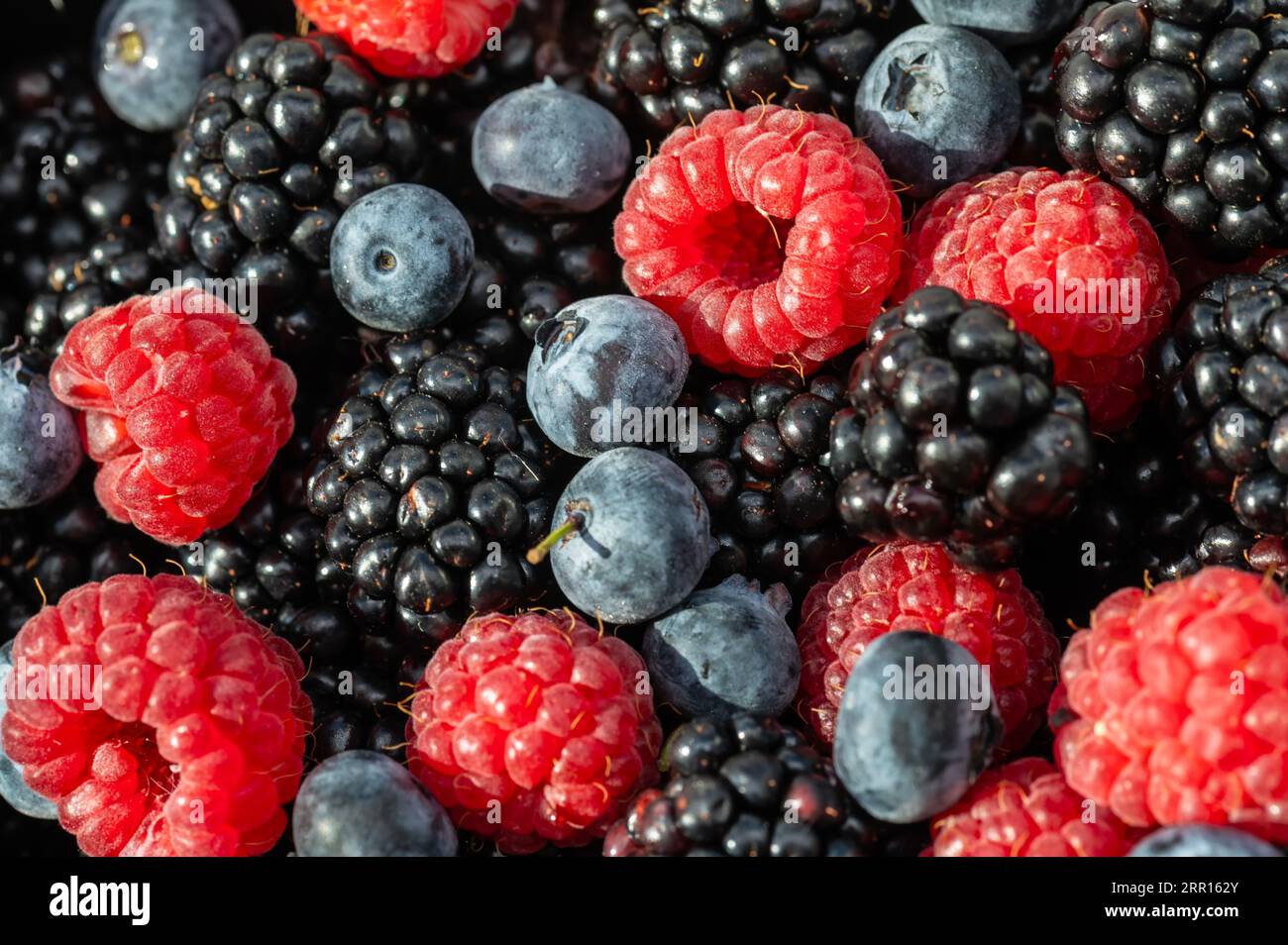 healthy food blackberries raspberries blueberries different berries ...